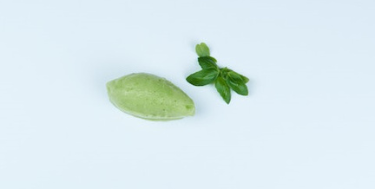 Green Apple Basil Sorbet Vegan