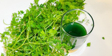 Chervil oil