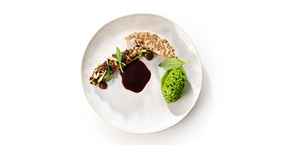 Pacojet recipes