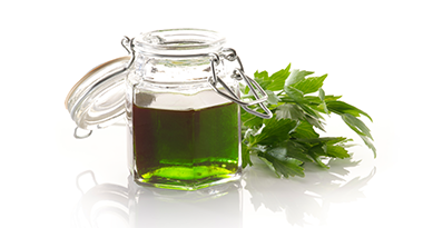 Pacojet recipes