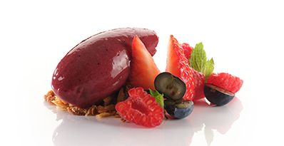 Pacojet recipes